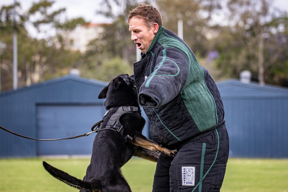 Different type of attack: Reds continue unique pre-season with dog ...