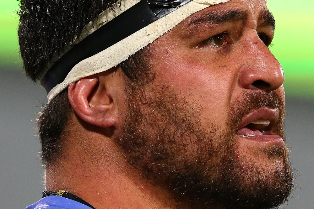 Cowan back to finish some Super Rugby business with Force