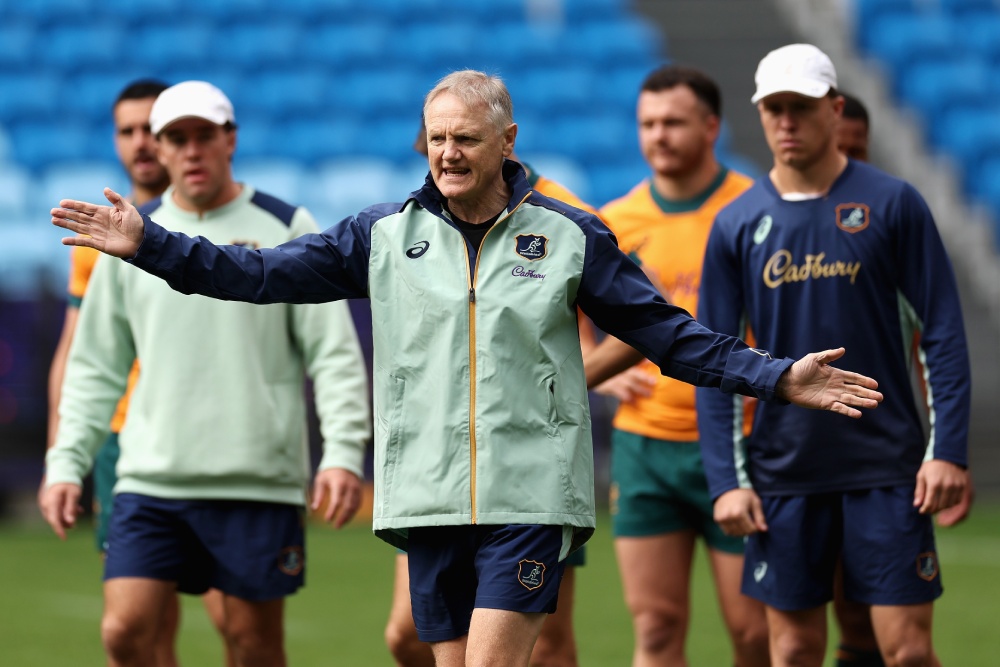 Schmidt's got smarts: All Blacks back Wallabies coach