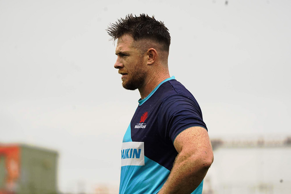 NSW Waratahs confirm Jed Holloway return