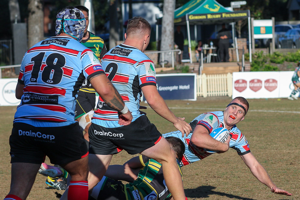 Souths searching for complete performance against wounded Stags