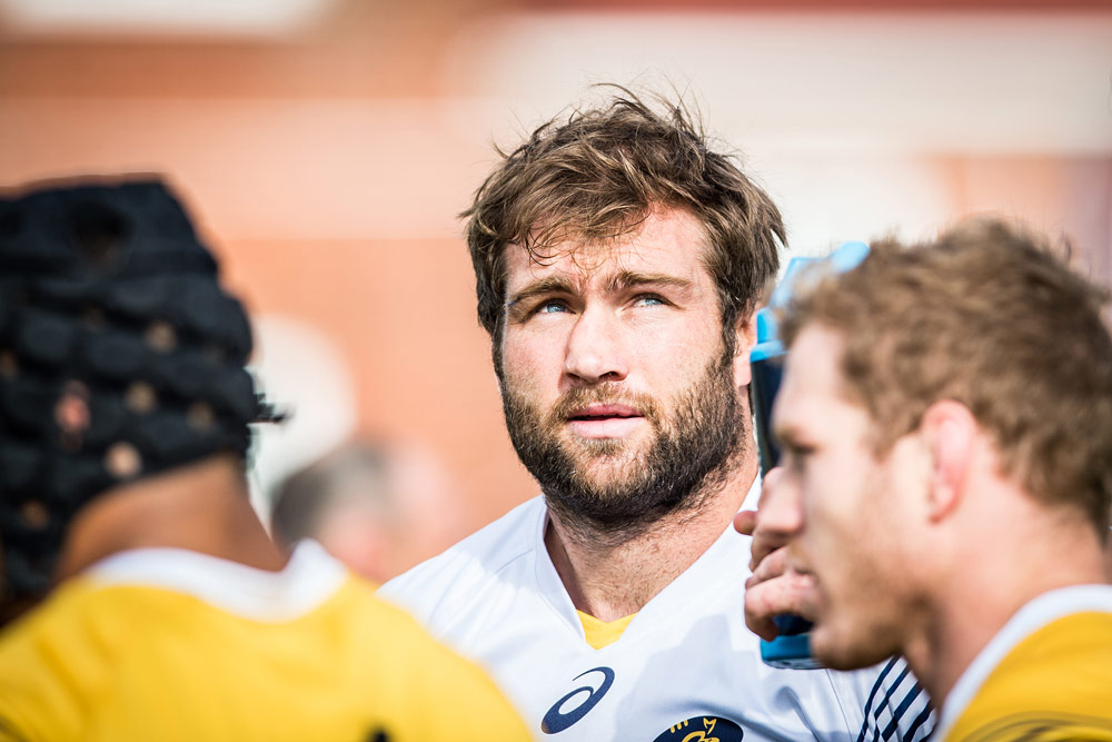 McCalman on verge of Super Rugby return