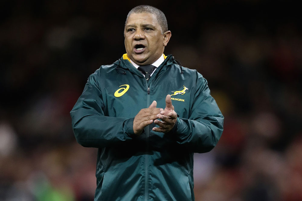 Coetzee feeling undermined as Boks coach