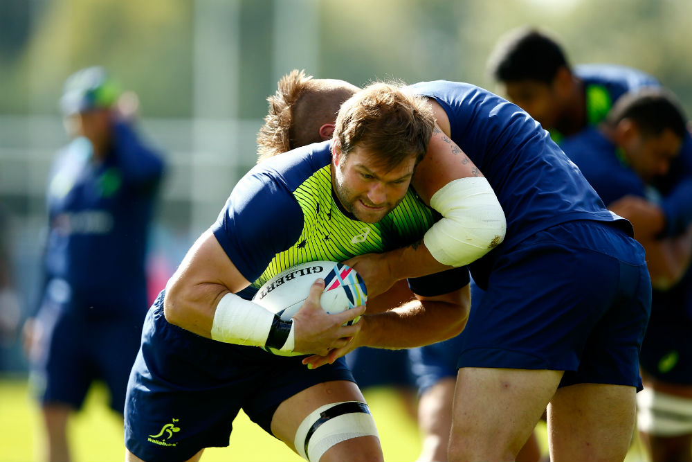 McCalman's Wild Knights in Top League title fight