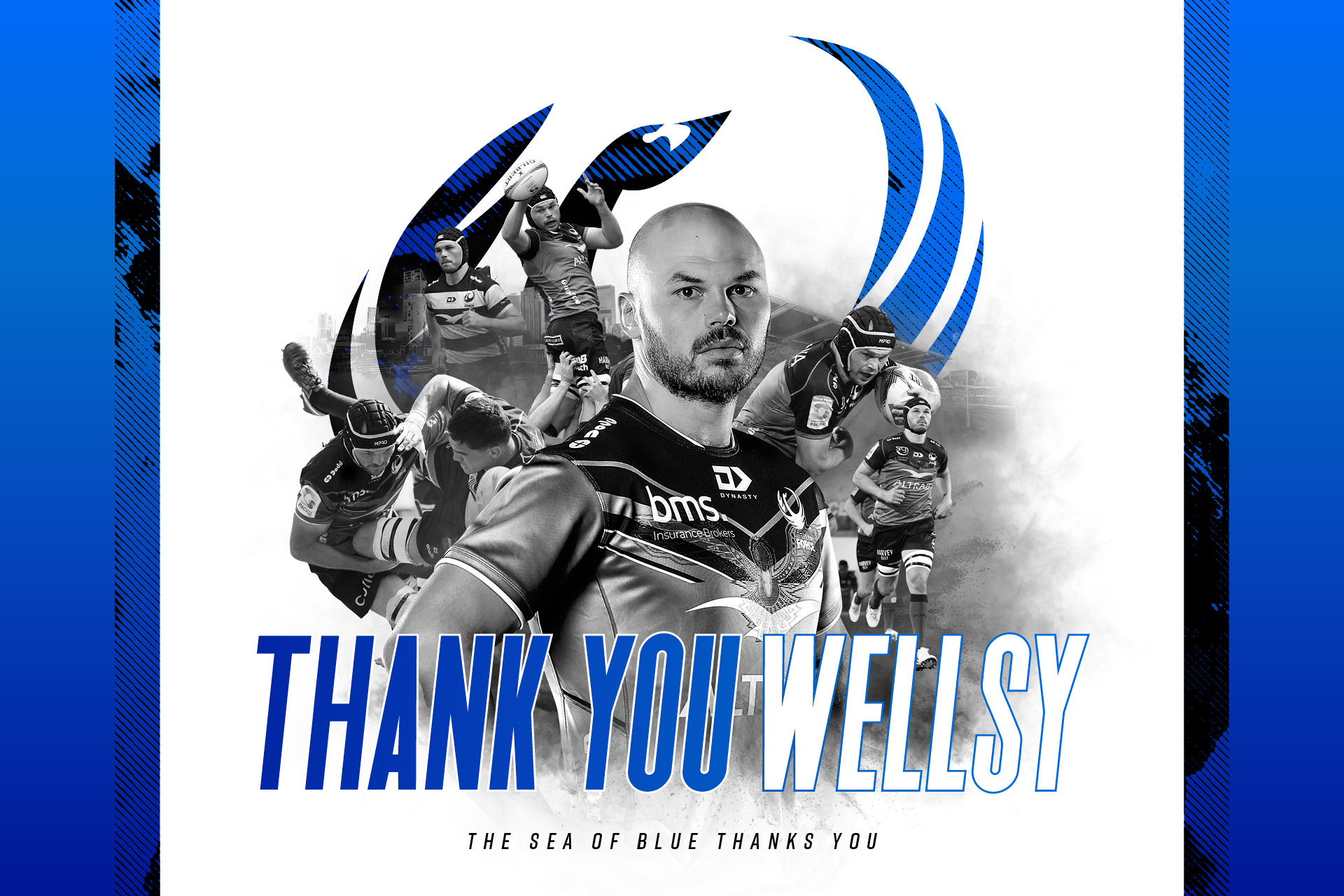 Vice-captain Michael Wells calls time on Super Rugby career