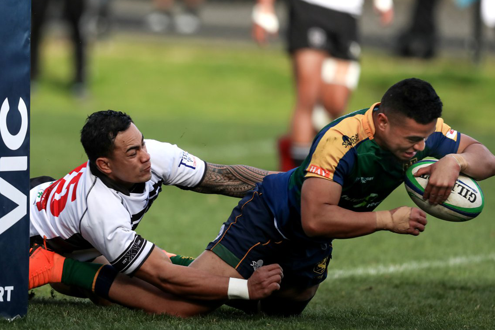 Brighton Renault Dewar Shield Match of the Round Preview - Round 1