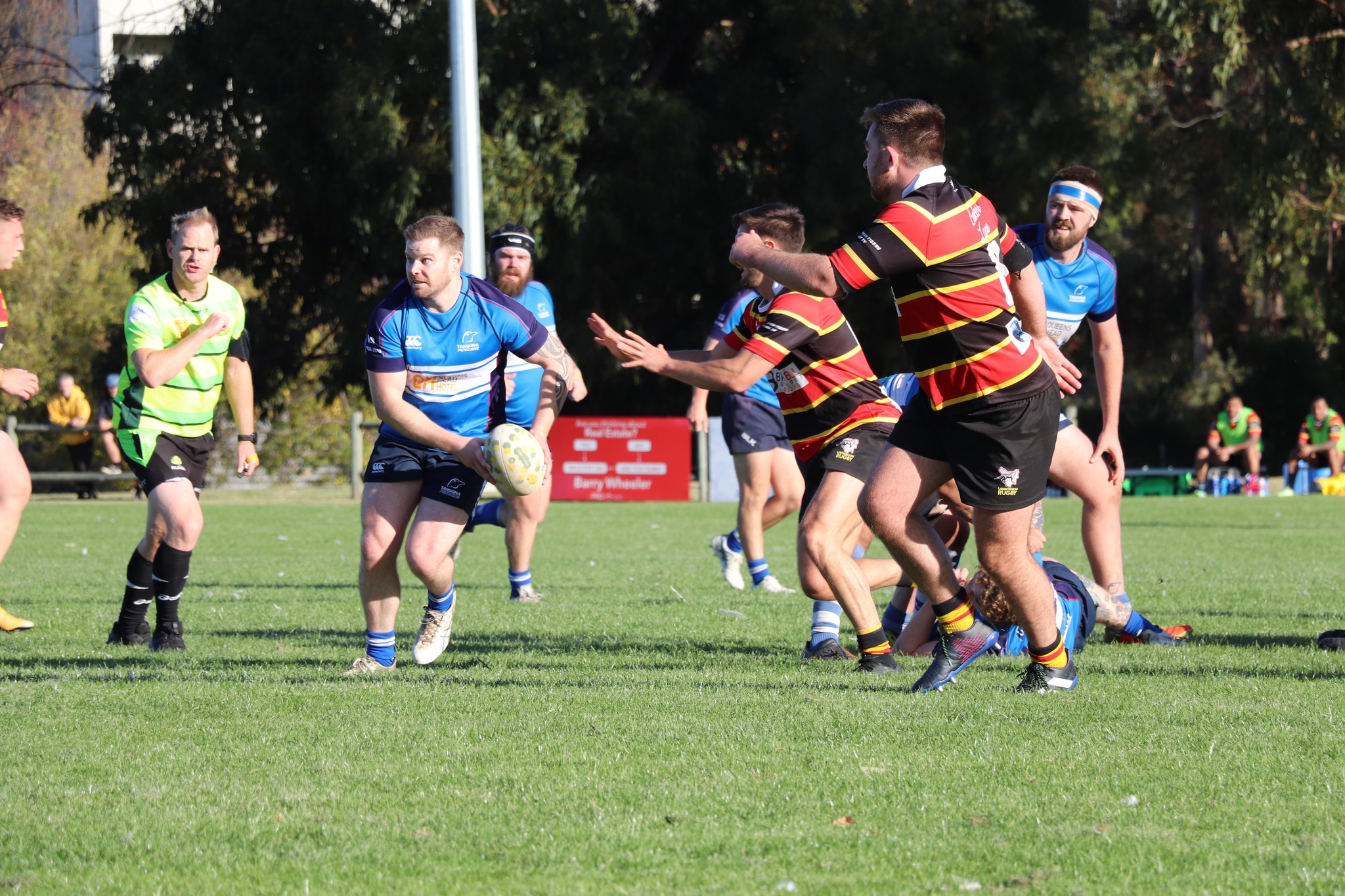 TRU Round 1 Wrap: Taroona topple Tigers as Lions, Bulls & Burnie bag wins