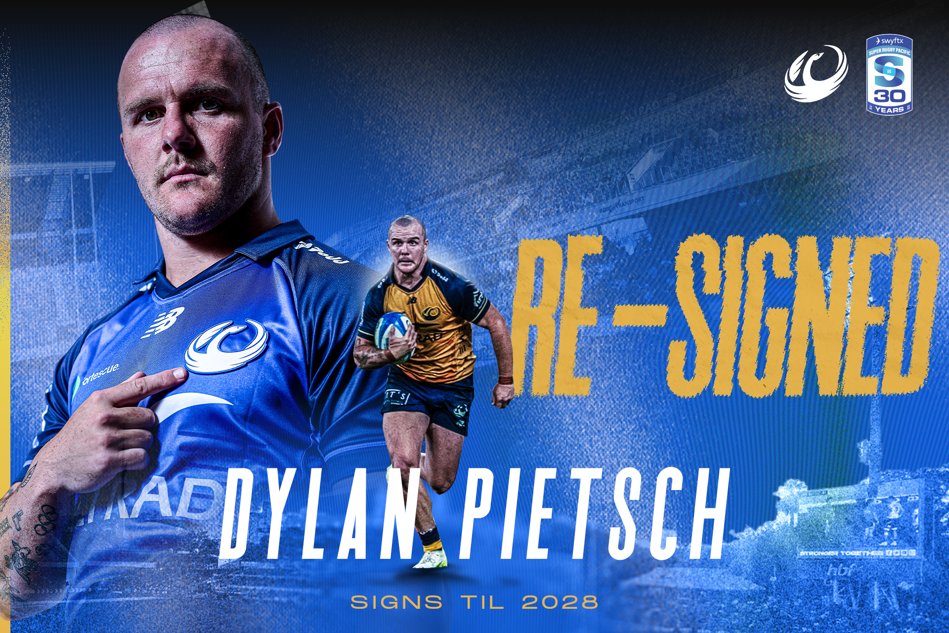 Dylan deal - Pietsch re-signs with Force & Australian rugby for another ...