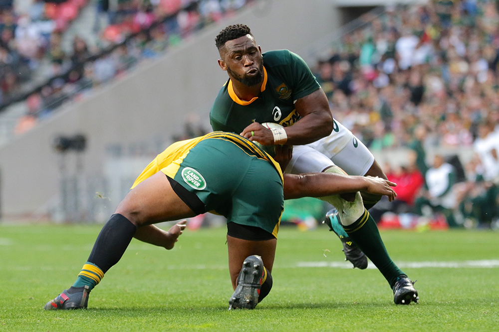 'We want to go, we have to go': Springboks 'desperate' to play in Rugby ...
