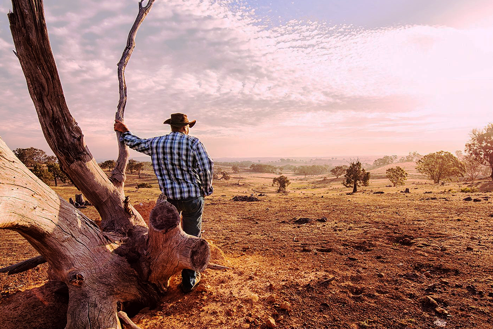 NSW Rugby partner with Rural Aid to assist Disaster Recovery