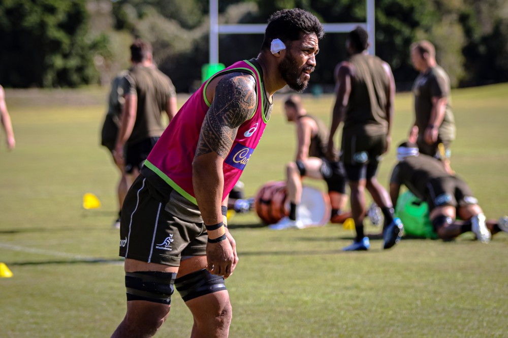 Wallabies' battle for gold heads onto training pack