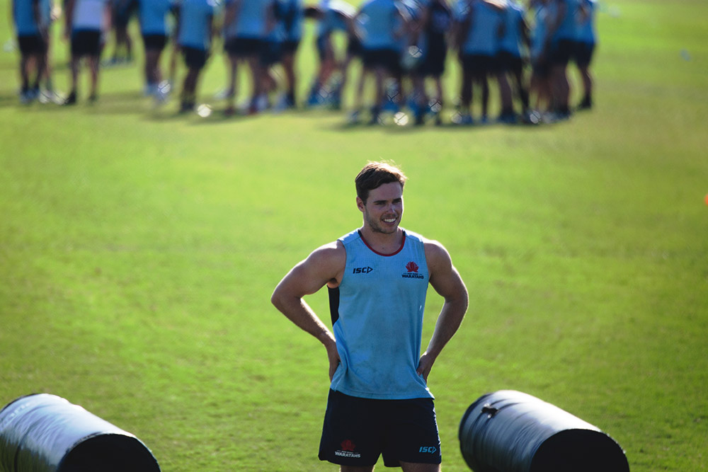 Harrison back to help Randwick as Shute Shield ramps up