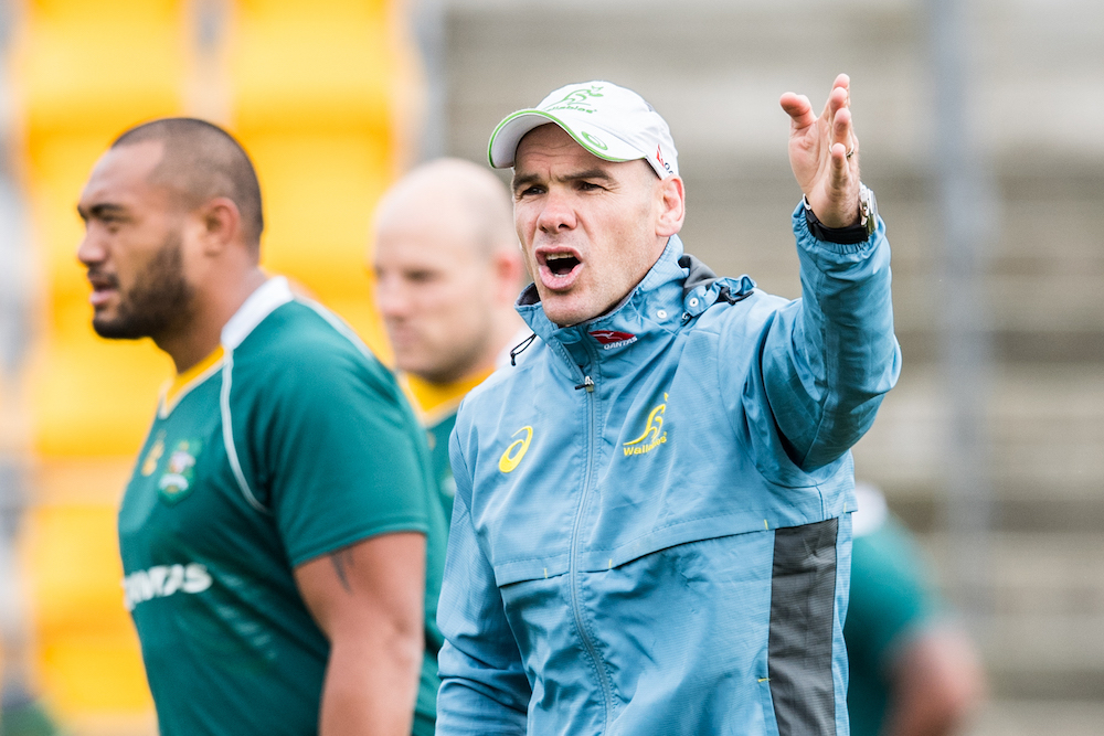 Wallabies confirm Grey appointment