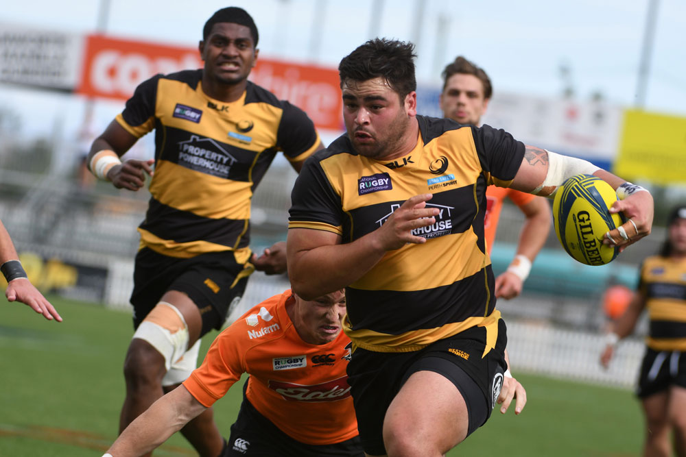 Ainsley joins Rebels