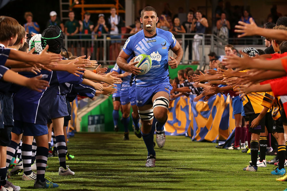 Hodgson returns for Force