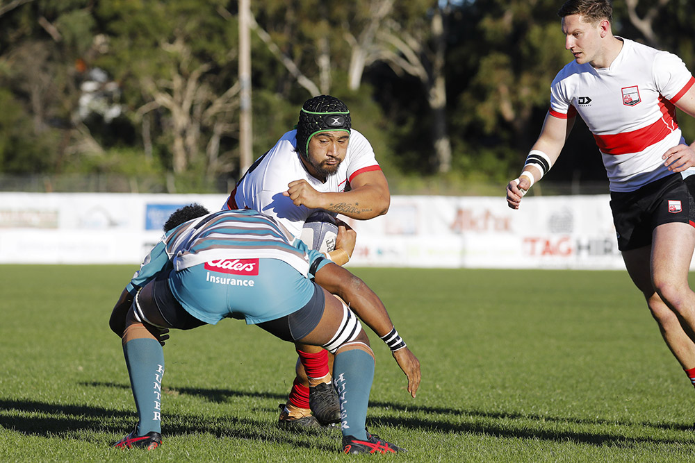 Tuala 'completely deserving' of any Shute Shield accolade