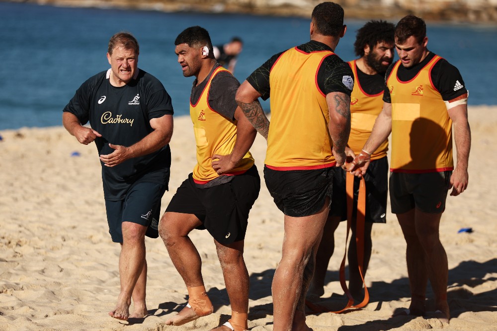 Assistant coach Hatley convinced Wallabies can win World Cup