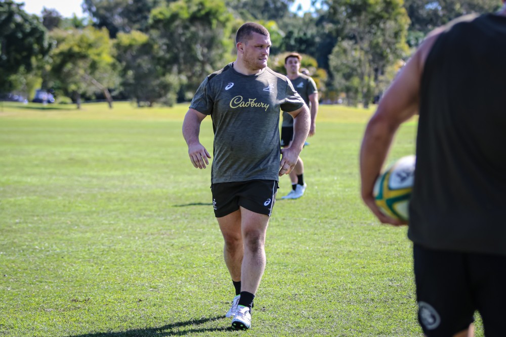 Wallaby Robertson told to be more dynamic