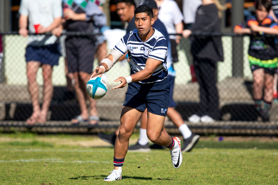 Guide to the Australian Rugby Shield