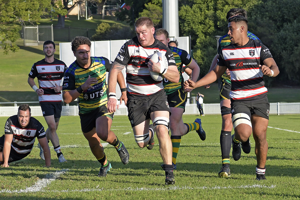 Pirates fighting to break final drought as club favourite returns