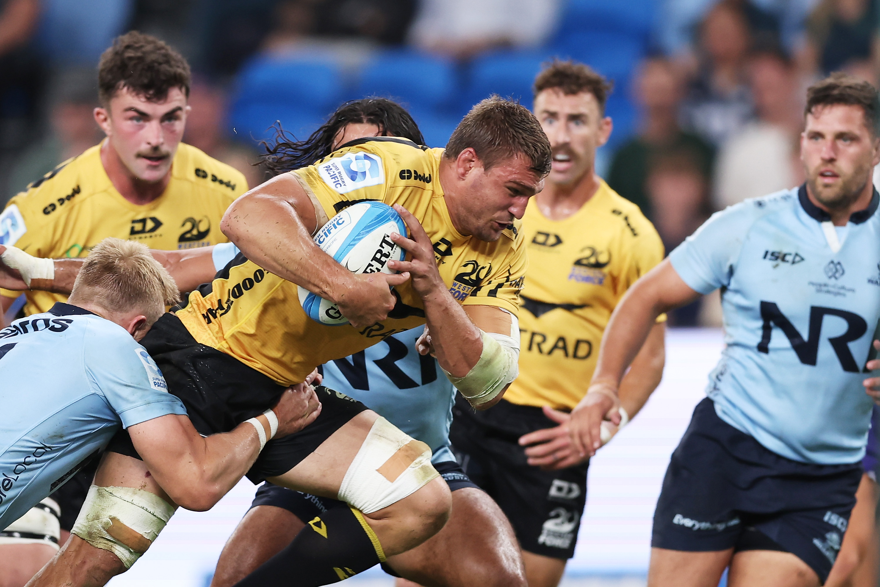 'Surreal': Champion de Crespigny's journey to 'special' Wallabies call-up