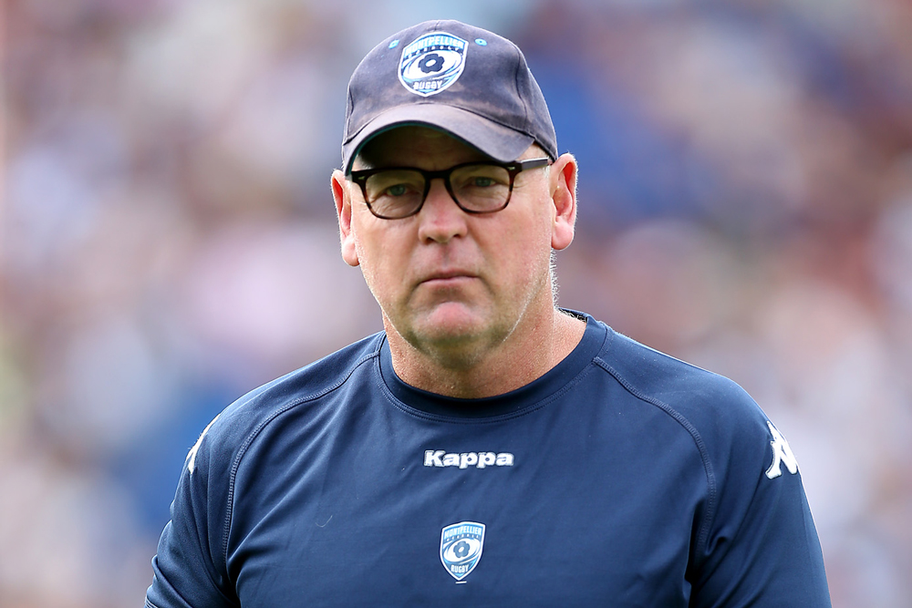 White to return to Super Rugby