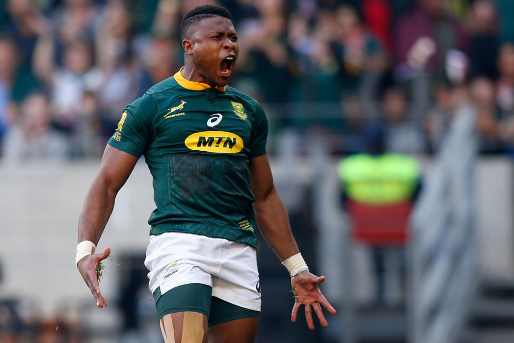 Springboks sink Wallabies in Port Elizabeth