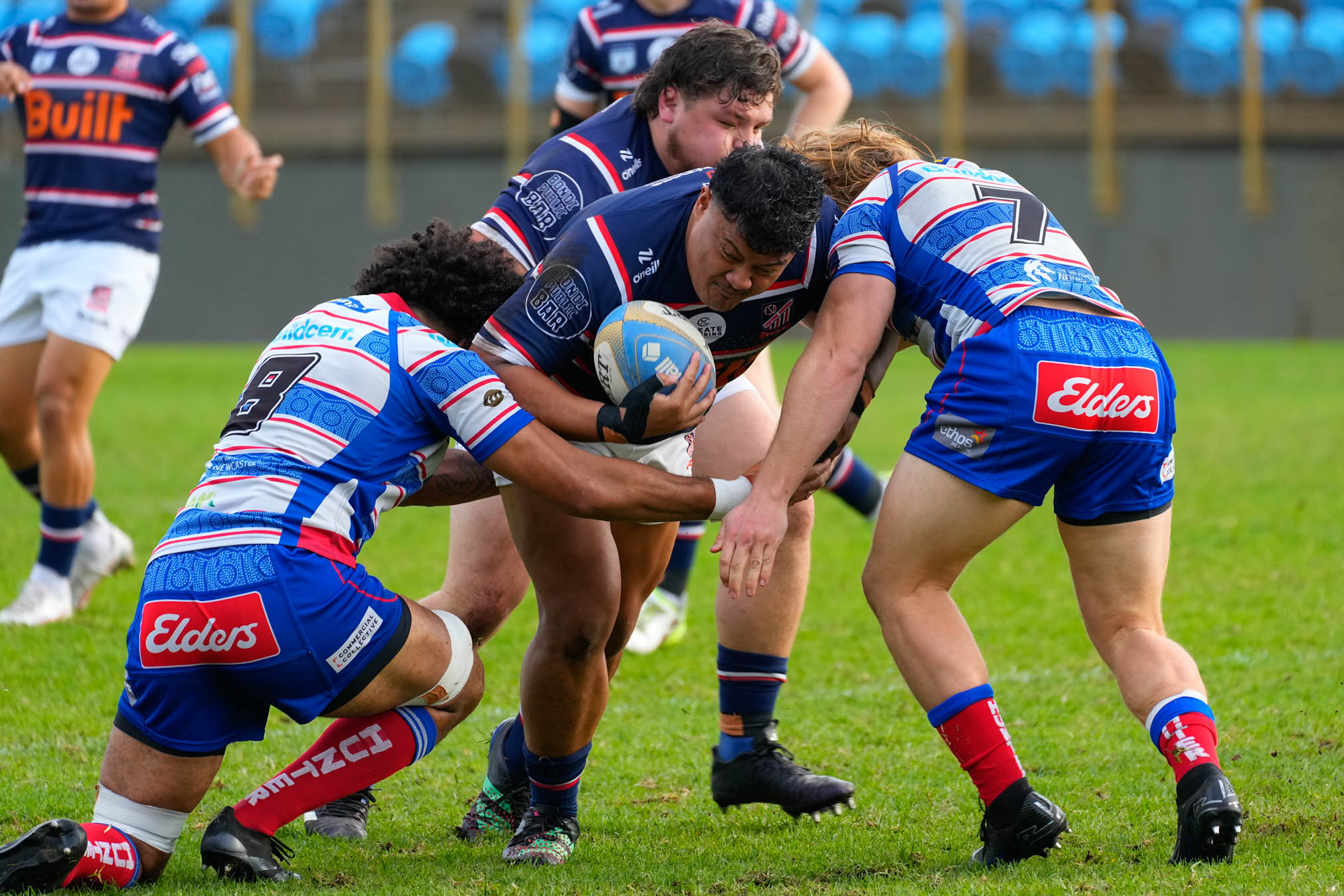Shute Shield at Allianz this Saturday