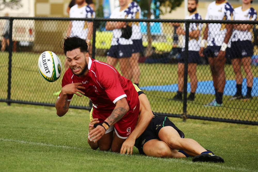 QLD and NSW split Sevens spoils