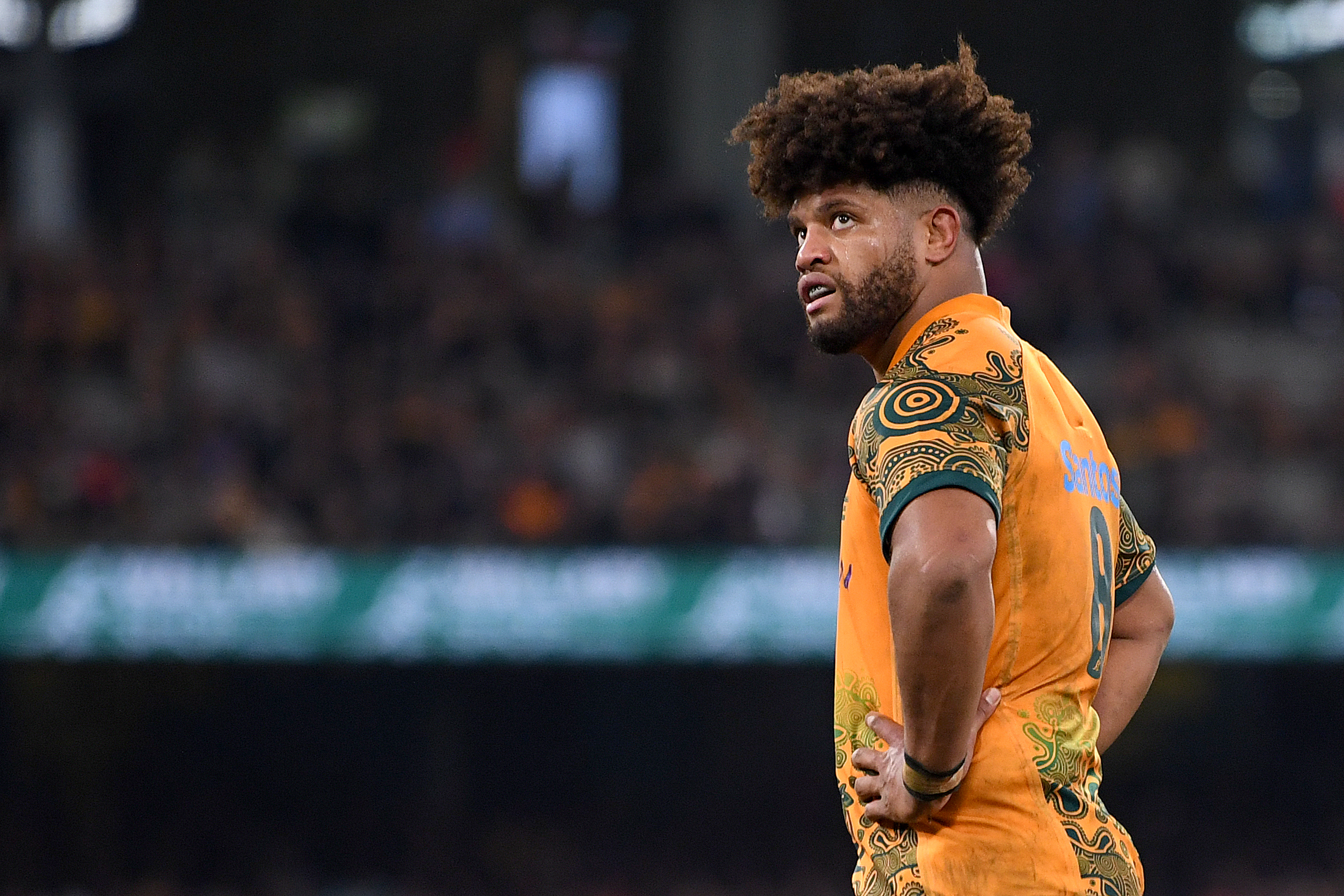 Toole and Valetini in Wallabies starting XV to face Japan in Tokyo