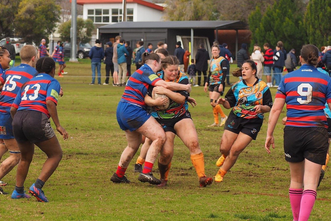 RUSA Round 14 Wrap: Wasps sting Uni as Souths, Old Colls trade key wins
