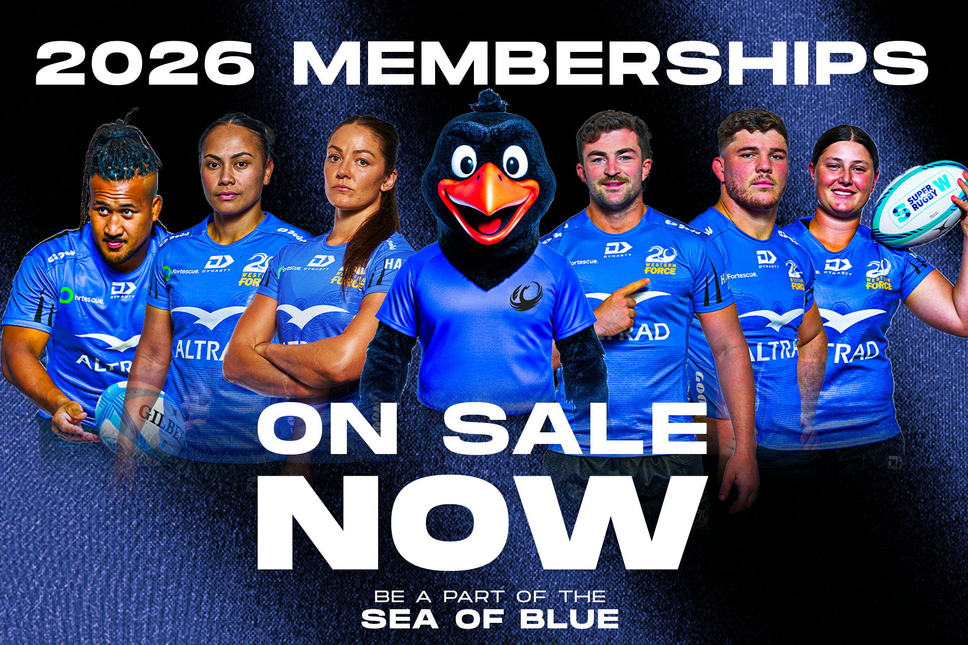 2026 Western Force Memberships go on sale!