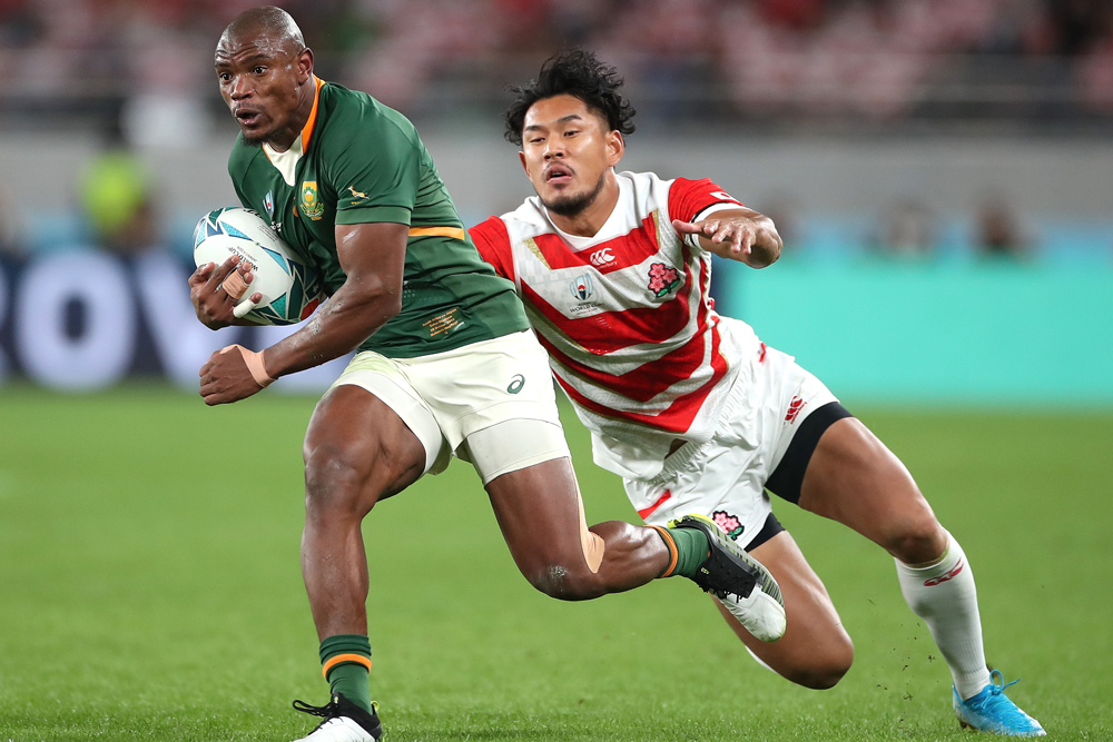 Springboks end Japan's dream World Cup run