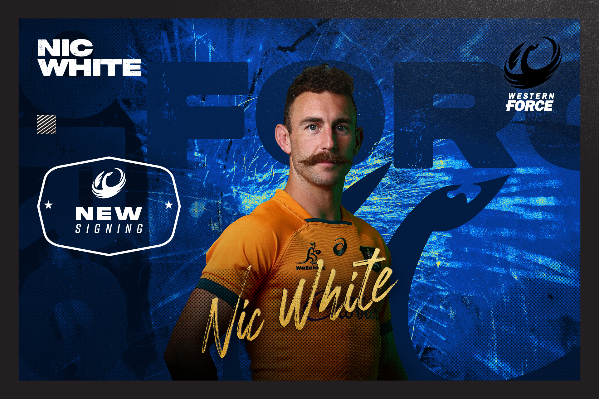 Force sign world class scrumhalf Nic White