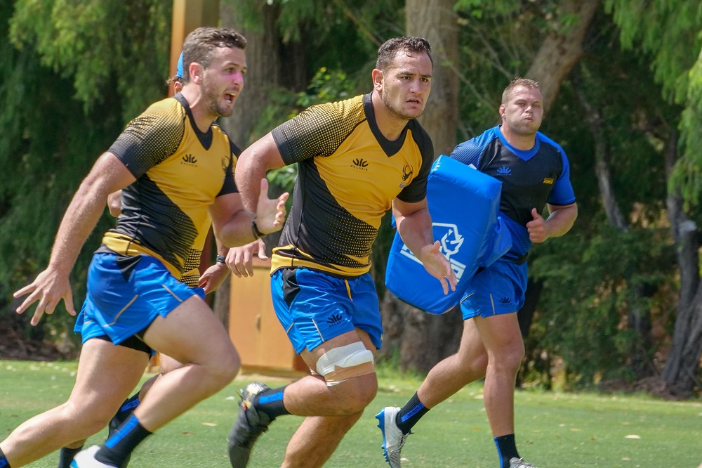 The Western Force are heading down south