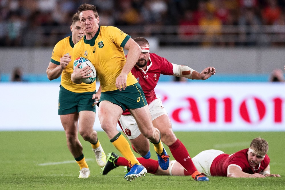 Wales announce Wallabies end-of-season fixture